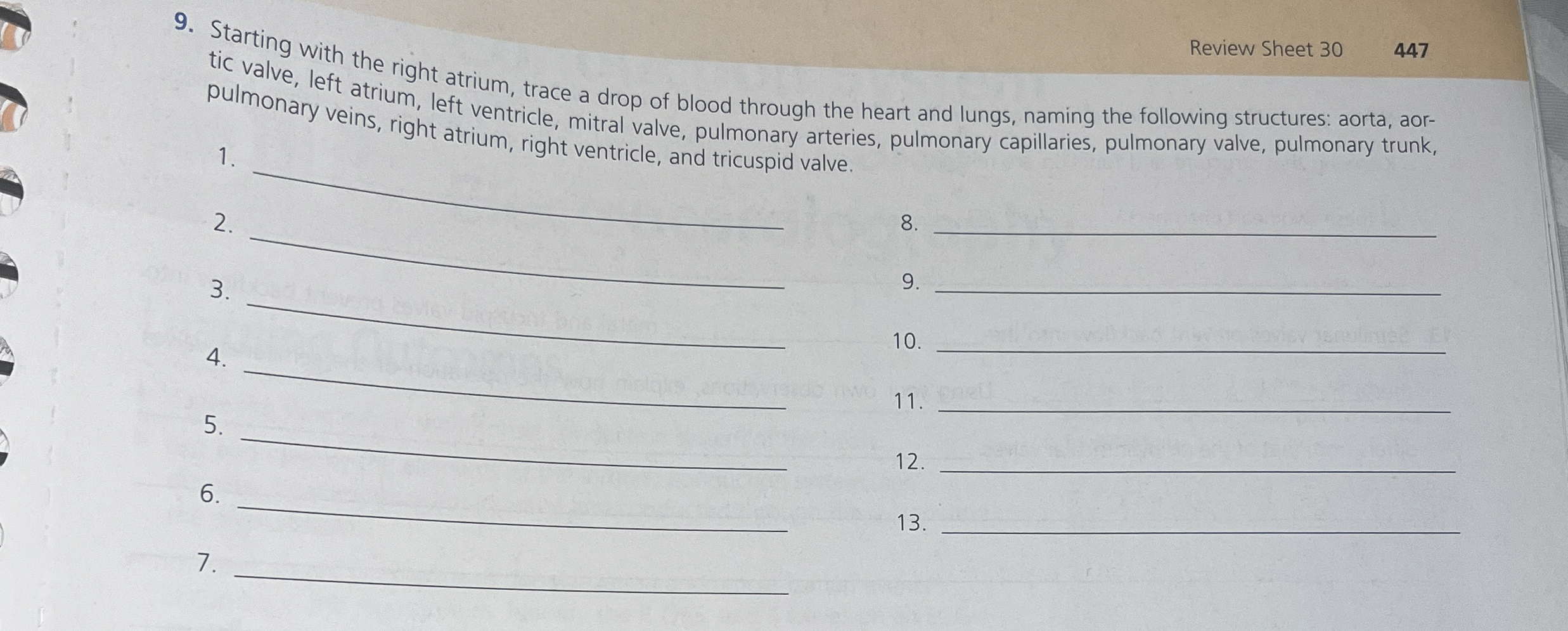 Solved tic valve, left atright atrium, trace a drop of blood | Chegg.com