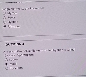 Solved Fungal filaments are known | Chegg.com