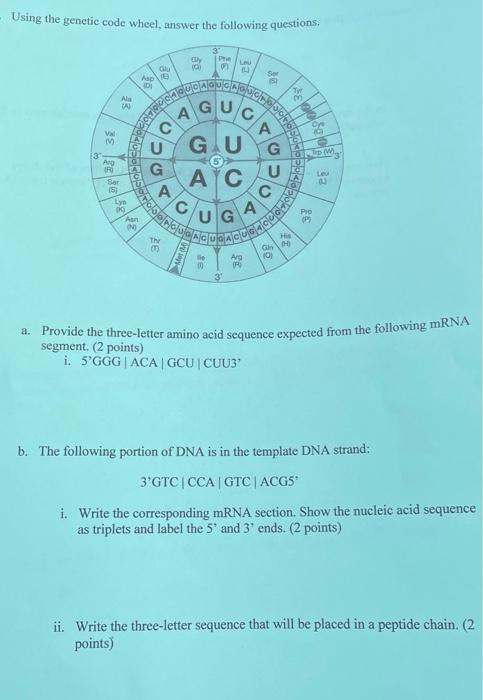 Solved Using the genetic code wheel, answer the following | Chegg.com
