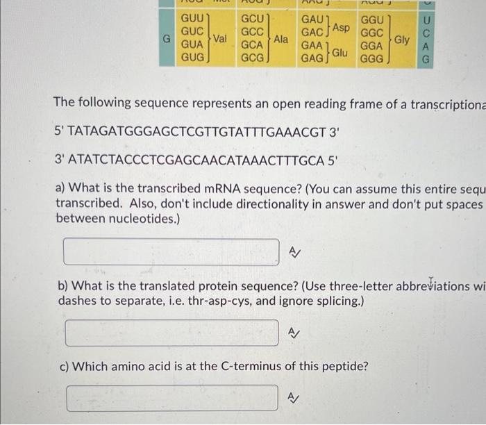 Solved Second letter The following sequence represents an | Chegg.com