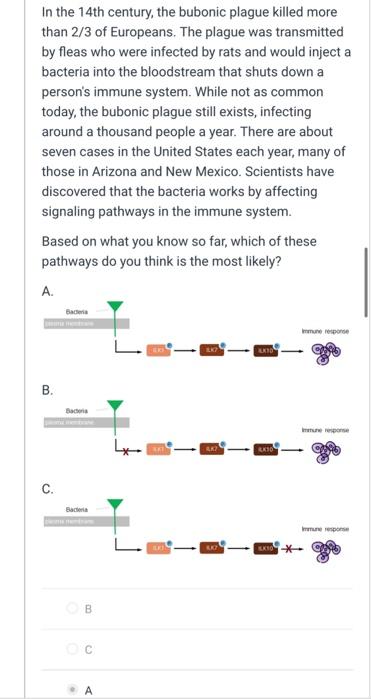 In the 14th century, the bubonic plague killed more | Chegg.com