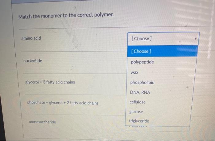 Solved Match The Monomer To The Correct Polymer Amino Acid