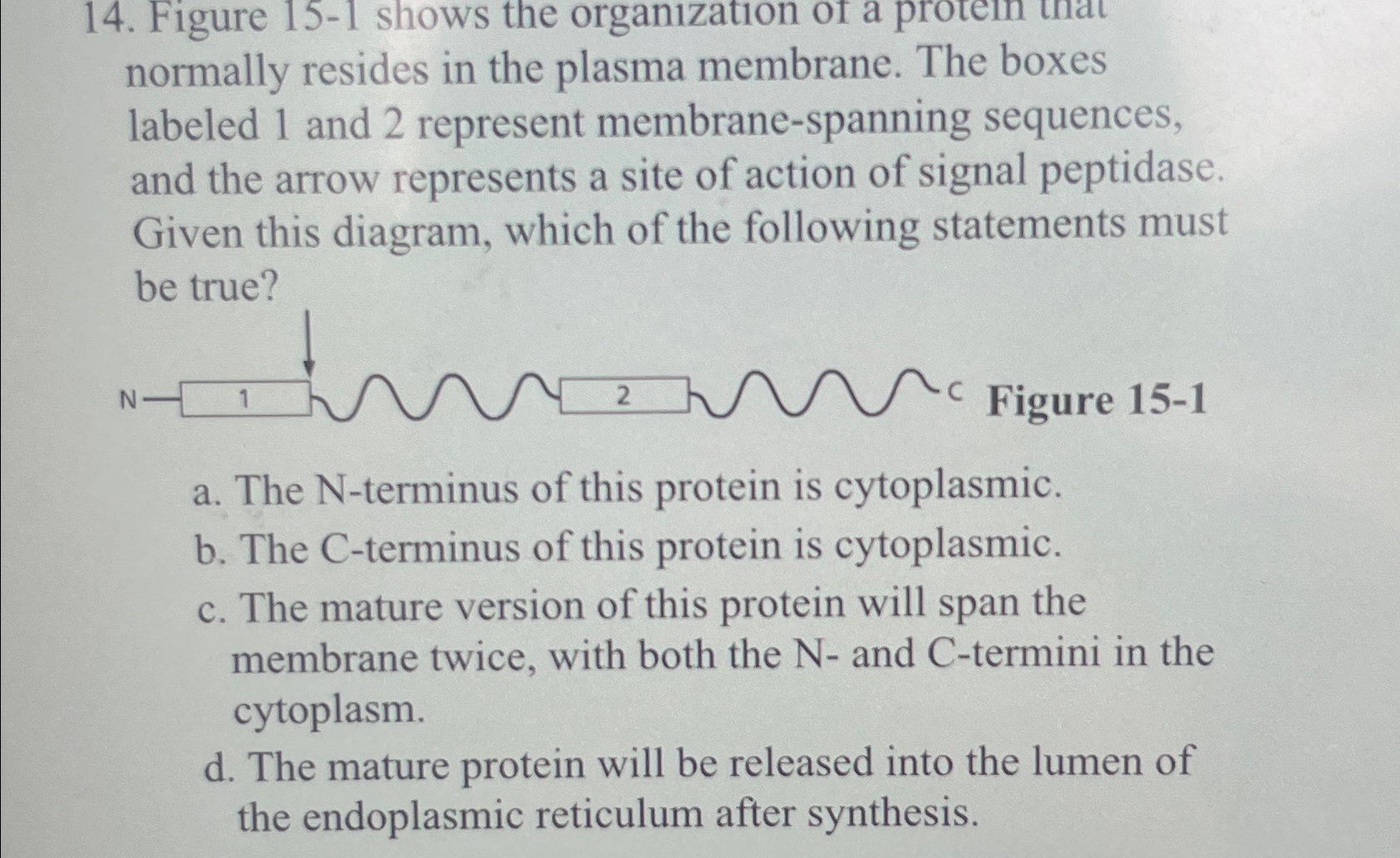 Figure 15-1 ﻿shows the organization of a protem tnat | Chegg.com