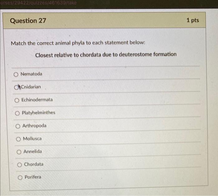 Solved Match the correct animal phyla to each statement | Chegg.com