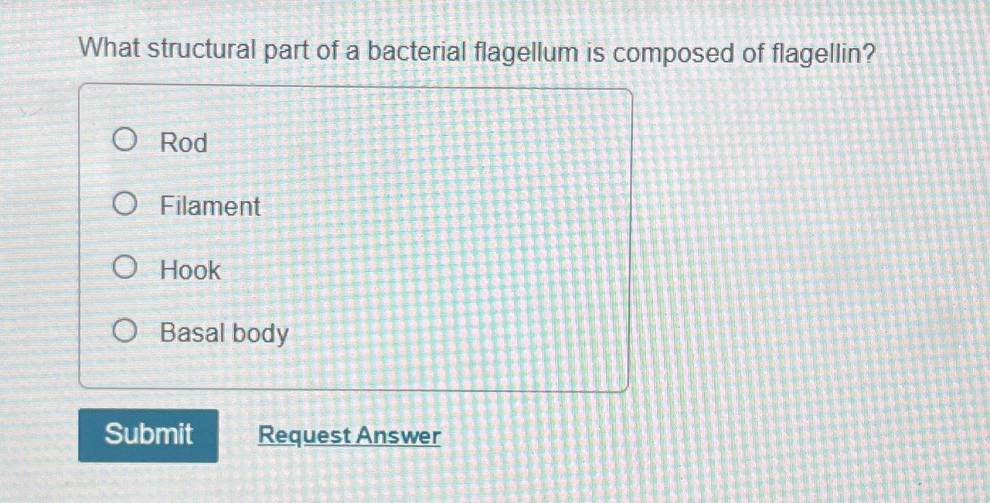 Solved What structural part of a bacterial flagellum is | Chegg.com