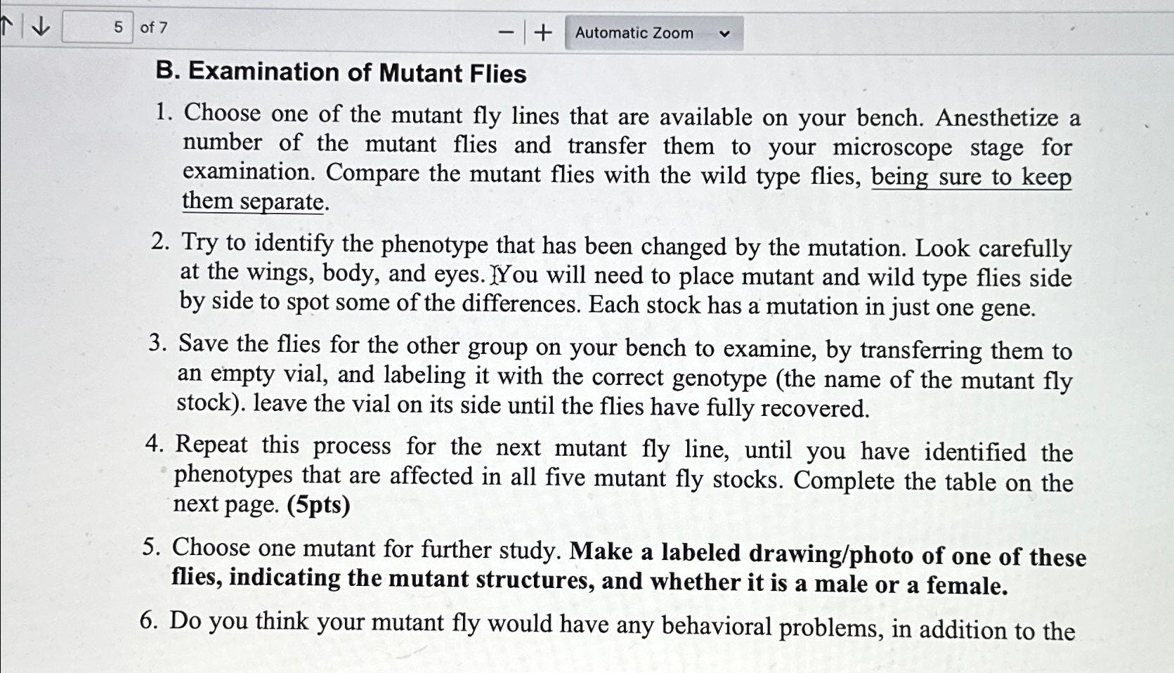 Solved 5 ﻿of 7-|+| ﻿Automatic ZoomB. ﻿Examination of Mutant | Chegg.com