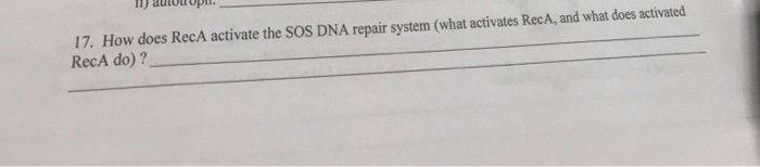 Solved 17. How does RecA activate the SOS DNA repair system | Chegg.com