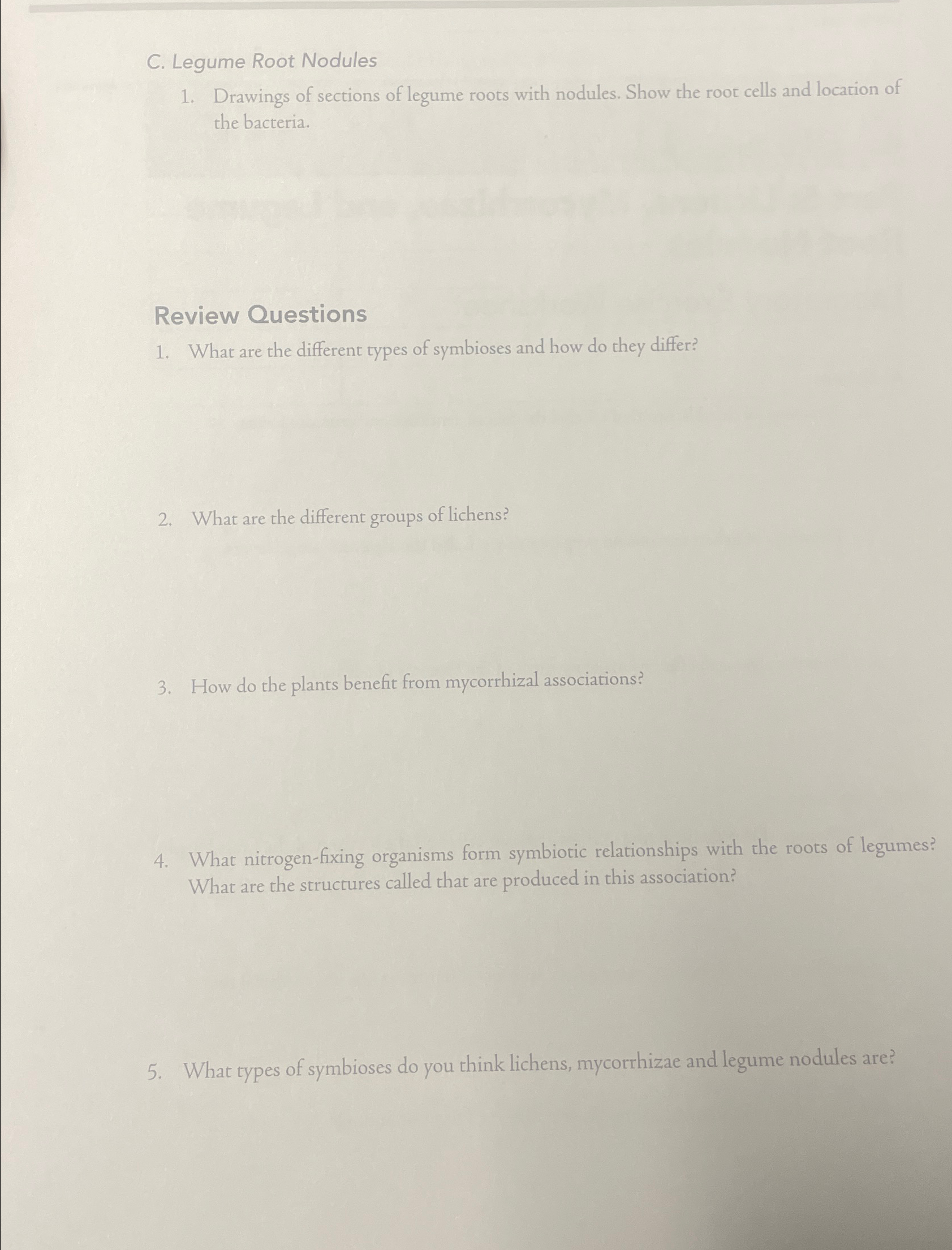 C. ﻿Legume Root NodulesDrawings of sections of legume | Chegg.com