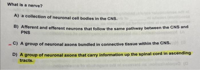 Solved What is a nerve? A) a collection of neuronal cell | Chegg.com
