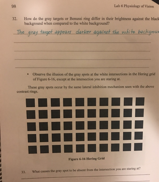 Solved Lab 6 Physiology of Vision How do the gray targets or | Chegg.com