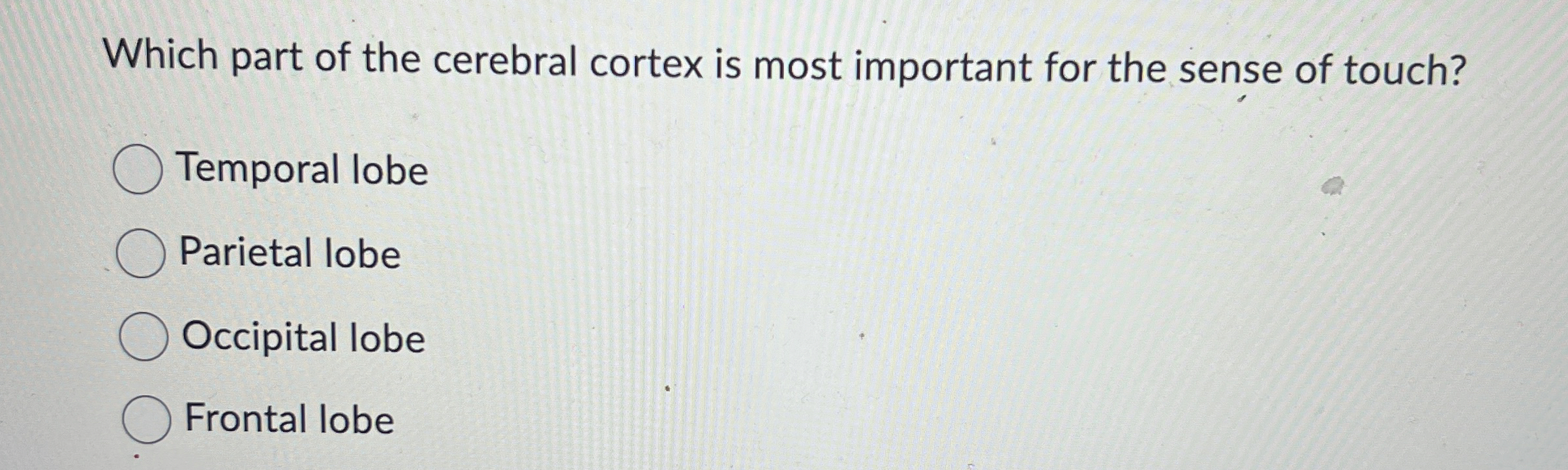 Solved Which part of the cerebral cortex is most important | Chegg.com