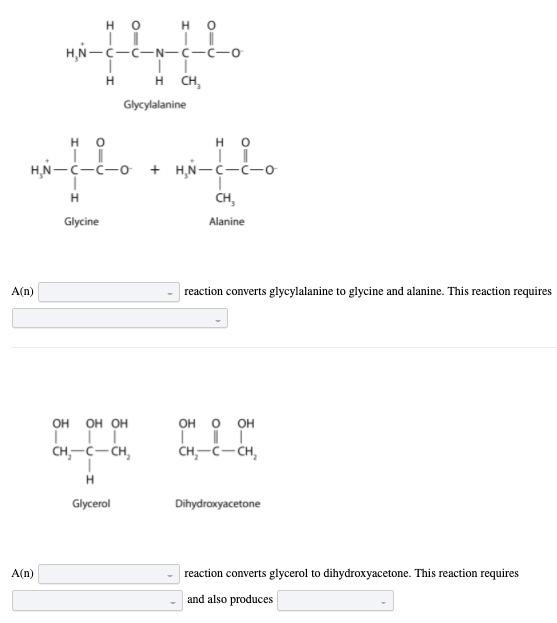 Solved For each pair of biomolecules, identify the type of | Chegg.com