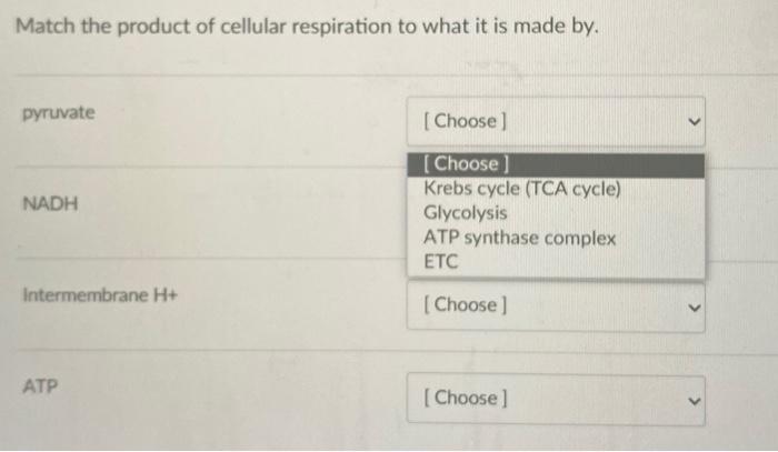 Solved Match the poison with its effect on the cell. | Chegg.com