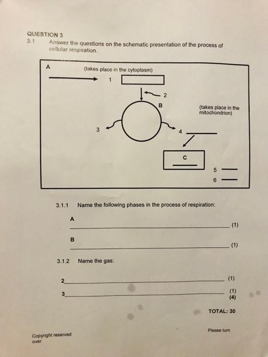Solved QUESTION 3 3.1 Answer the questions on the schematic | Chegg.com