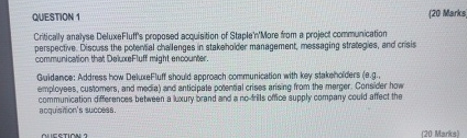 Solved QUESTION 1(20 ﻿Marks)Critically analyse DeluxeFluffs | Chegg.com