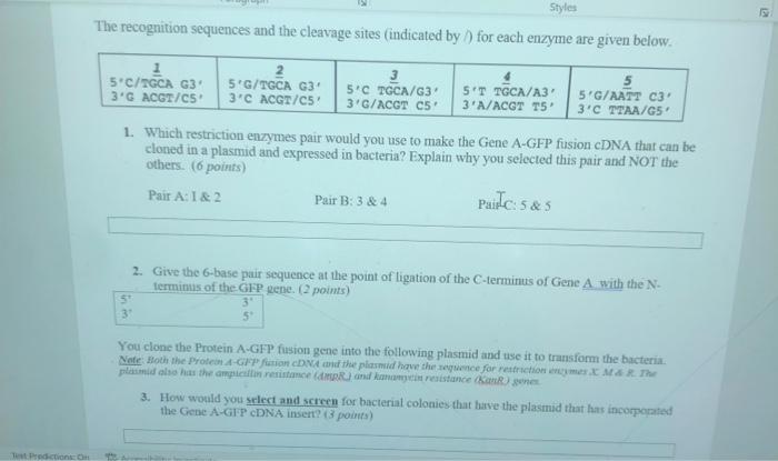 Solved The recognition sequences and the cleavage sites | Chegg.com