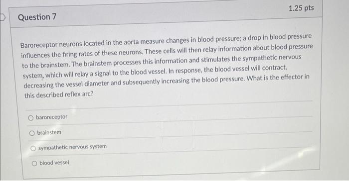 Solved Baroreceptor neurons located in the aorta measure | Chegg.com