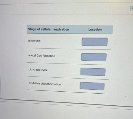 Solved Stage of cellular respirationLocationglycolysis | Chegg.com