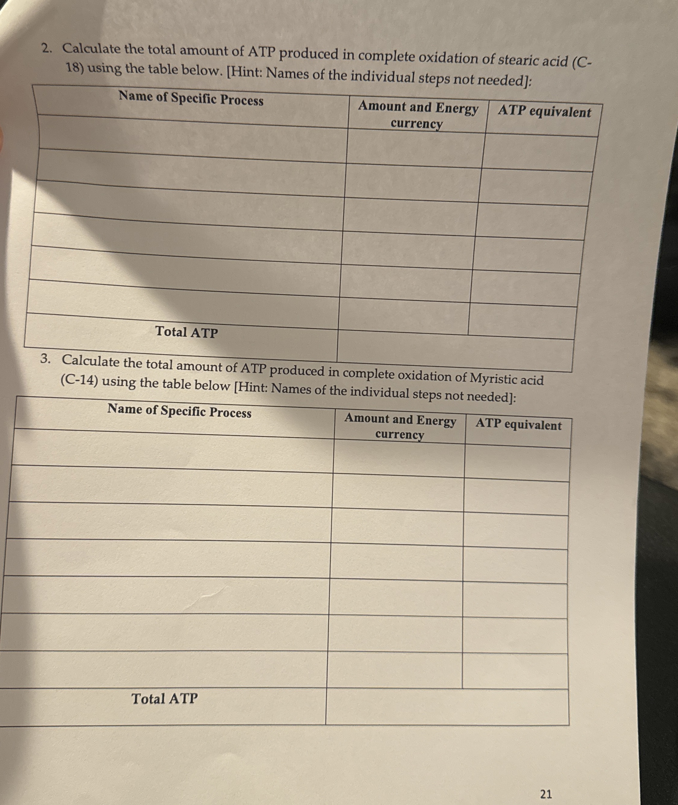 Solved Calculate the total amount of ATP produced in | Chegg.com
