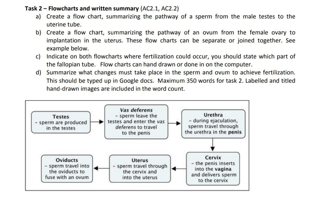 Solved Task 2 - Flowcharts and written summary (AC2.1, | Chegg.com
