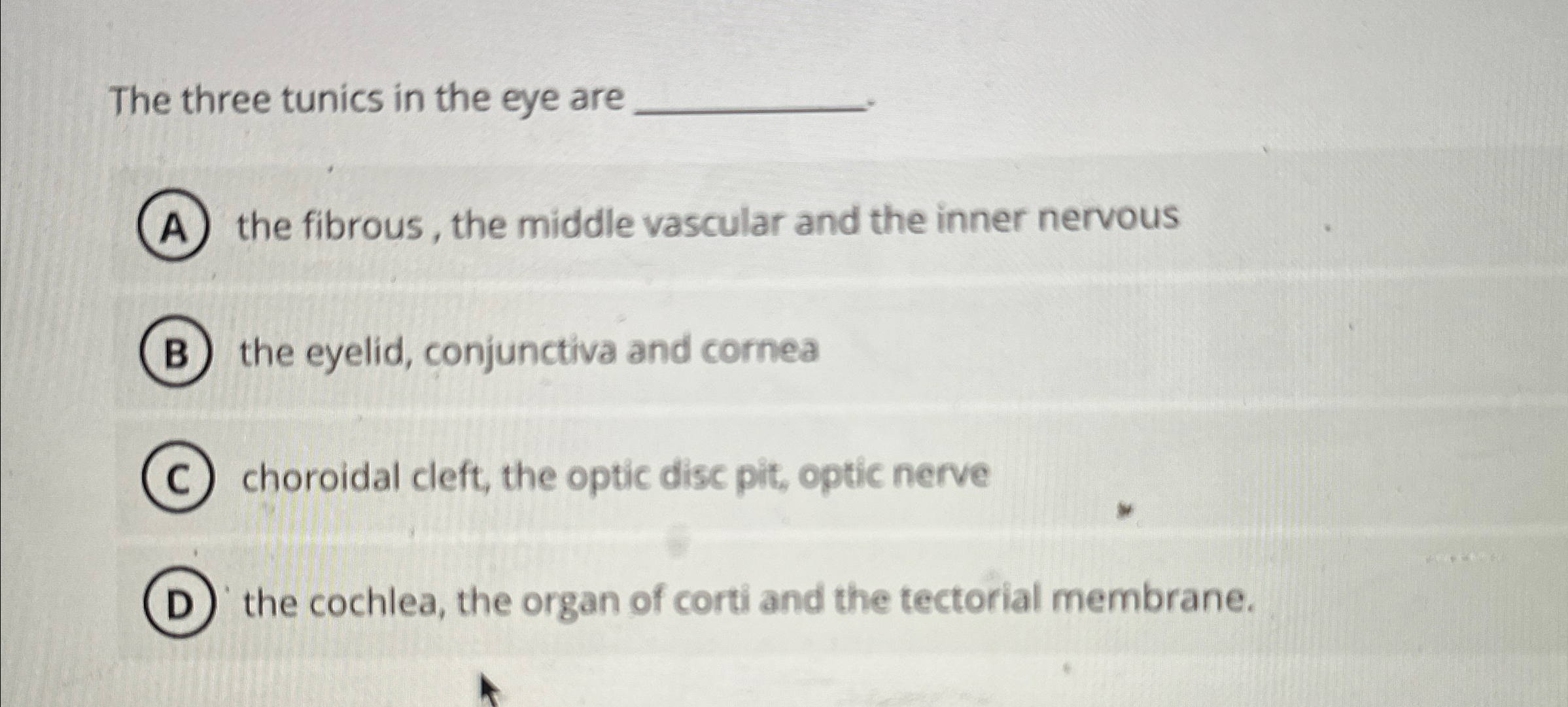 Solved The three tunics in the eye are.the fibrous, the | Chegg.com