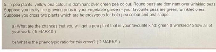 Solved 5. In pea plants. yellow pea colour is dominant over | Chegg.com