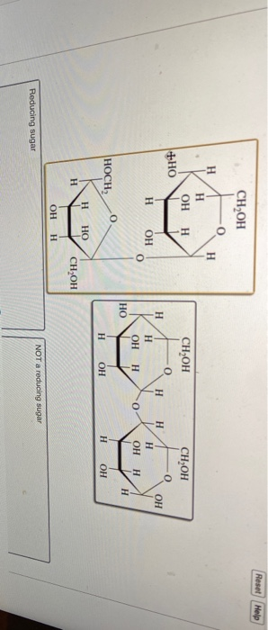 Solved Indicate whether each pair of Fischer projections | Chegg.com