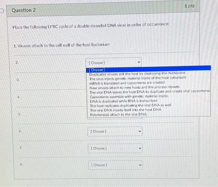 Solved Place the following LYTIC cycle of a double stranded | Chegg.com