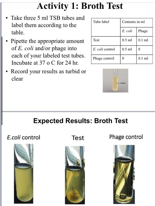 Solved E. coli Activity 1: Broth Test Take three 5 ml TSB | Chegg.com