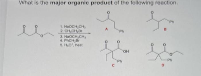 Solved What is the major organic product of the following | Chegg.com