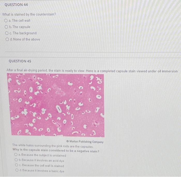 Solved QUESTION 44 What is stained by the counterstain? a. | Chegg.com