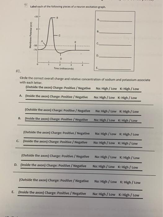 Solved Label each of the following pieces of a neuron | Chegg.com