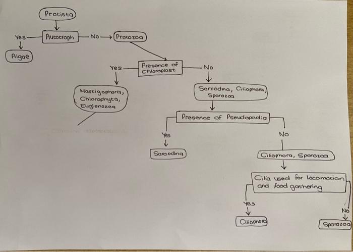 Solved I need assistance expanding the branch of: - | Chegg.com