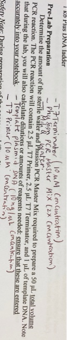 Solved 1 KD Plus DNA ladder -T7 Terminator (10uM | Chegg.com