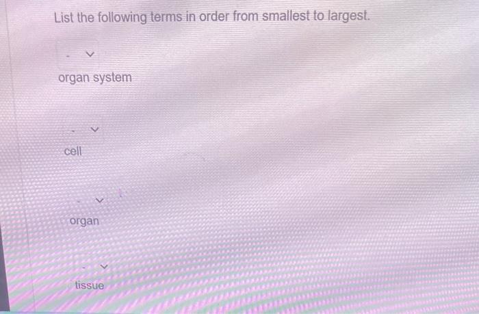 Solved List the following terms in order from smallest to | Chegg.com