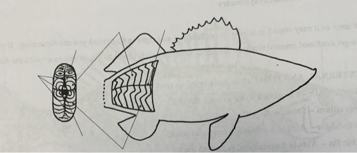 Solved ELLIT X a O 2 PERCH DISSECTION: CHECK LIST | Chegg.com