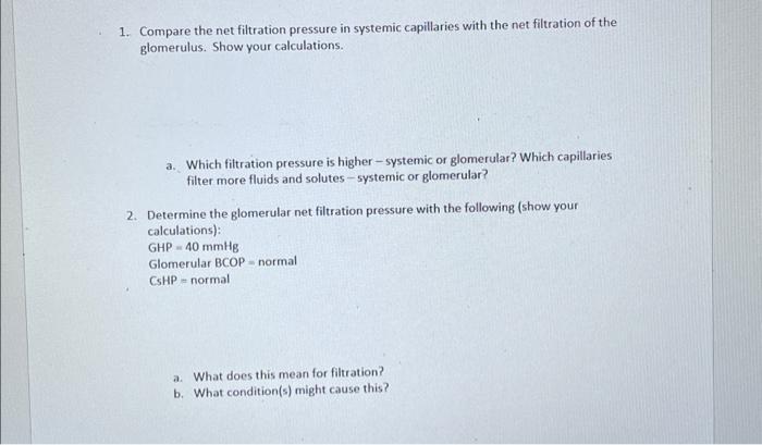 Solved CHAPTER 26 GLOMERULAR FILTRATION ACTIVITY Describe | Chegg.com