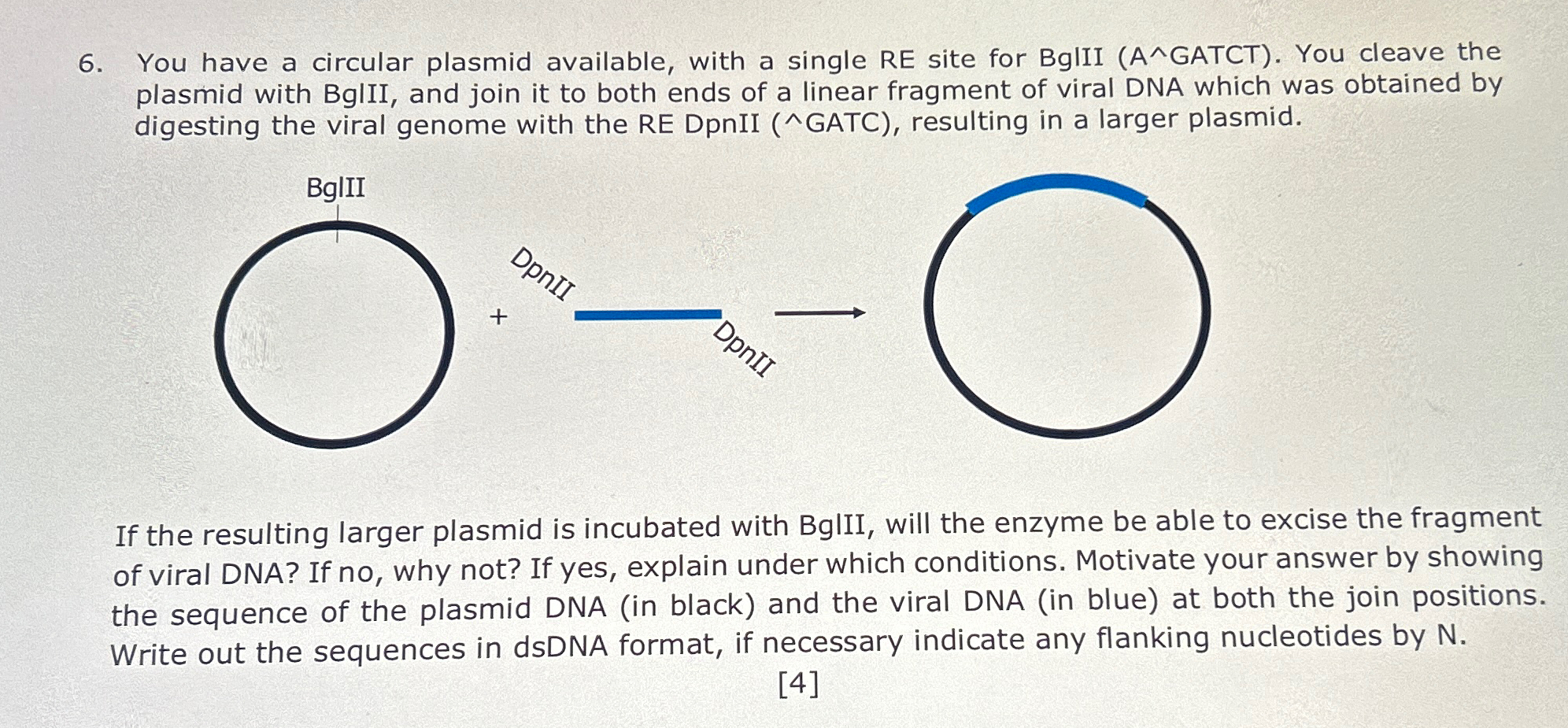 Solved You have a circular plasmid available, with a single | Chegg.com