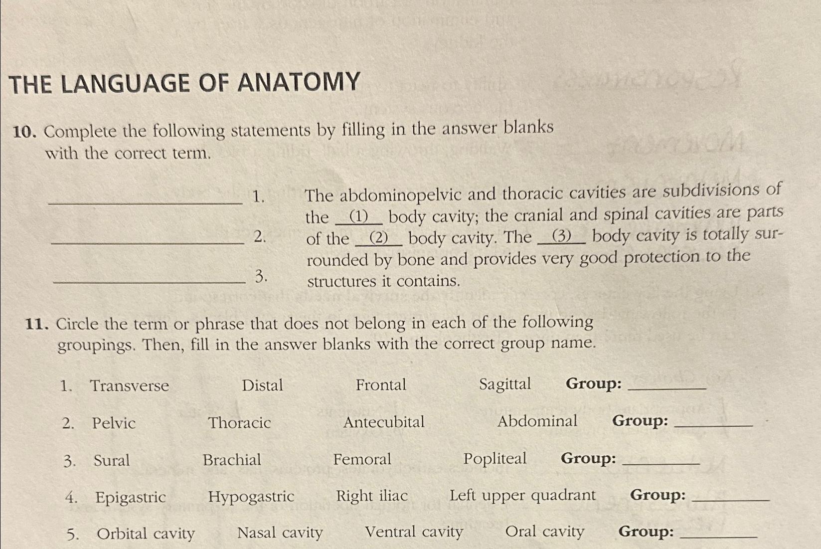 Solved THE LANGUAGE OF ANATOMY10. ﻿Complete the following | Chegg.com