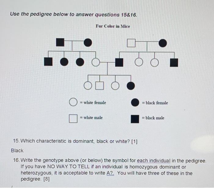Solved 16. Write the genotype above (or below) the symbol | Chegg.com