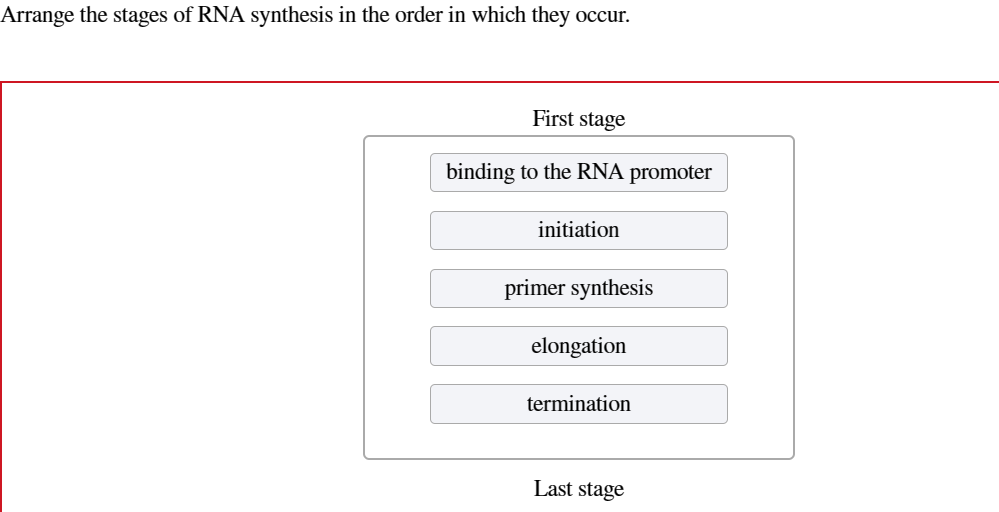 Solved Arrange the stages of RNA synthesis in the order in | Chegg.com