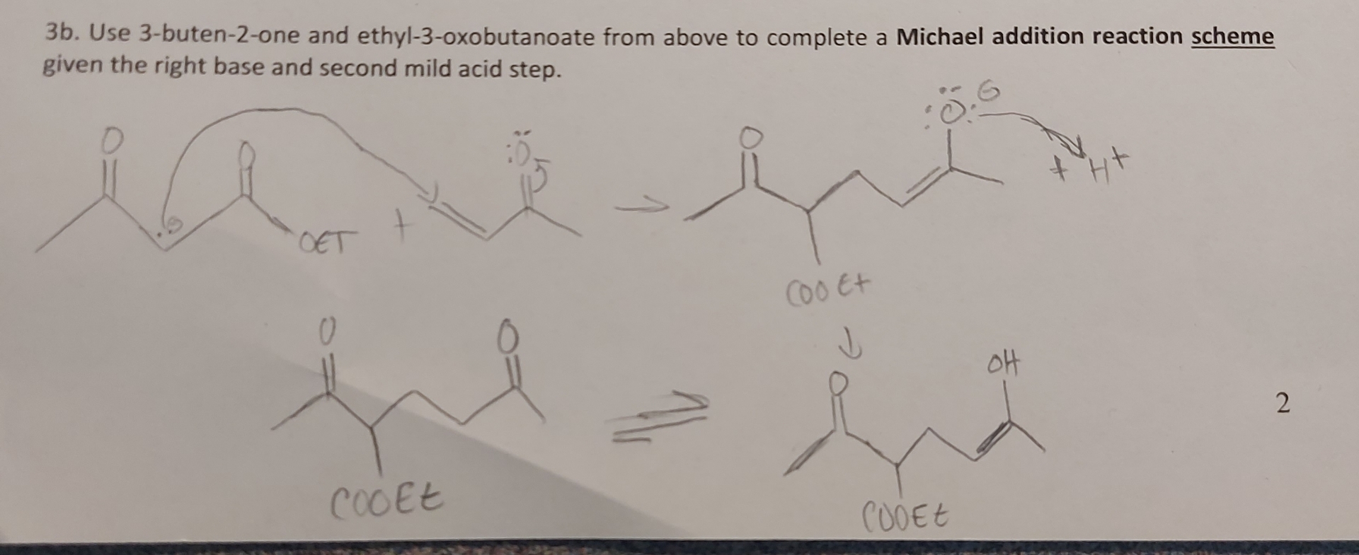 Solved 3b. ﻿Use 3-buten-2-one and ethyl-3-oxobutanoate from | Chegg.com