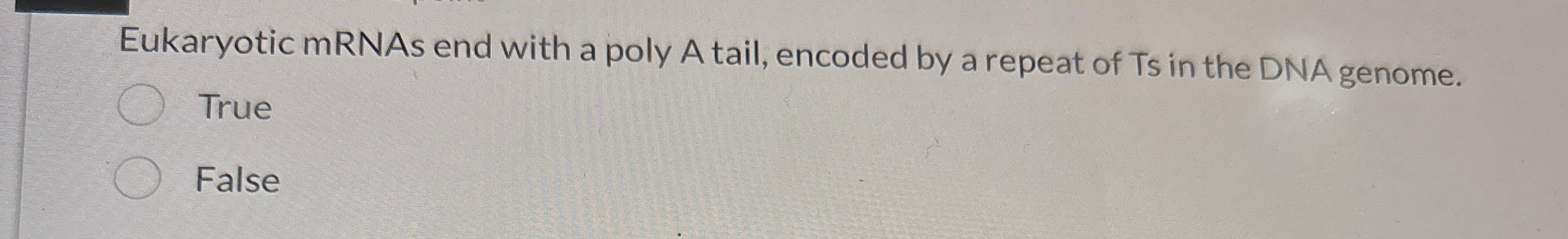 Solved Eukaryotic mRNAs end with a poly A tail, encoded by a | Chegg.com