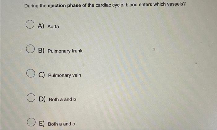 Solved During the ejection phase of the cardiac cycle, blood | Chegg.com