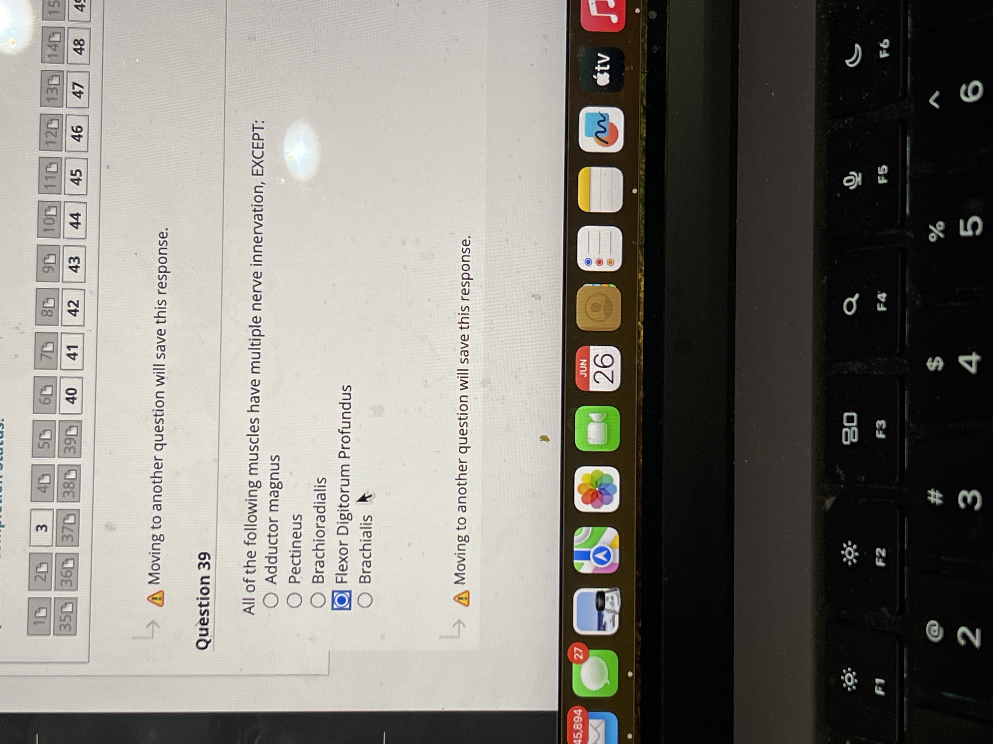 Solved Question 39All of the following muscles have multiple | Chegg.com