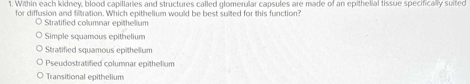 Solved Within each kidney, blood capillaries and structures | Chegg.com