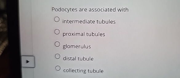 Solved Podocytes are associated withintermediate | Chegg.com