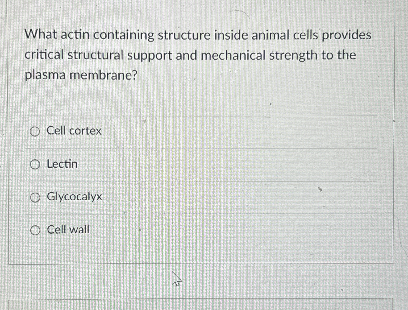 Solved What actin containing structure inside animal cells | Chegg.com