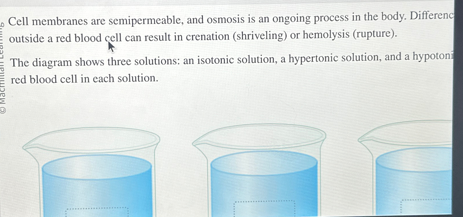 Solved Cell membranes are semipermeable, and osmosis is an | Chegg.com