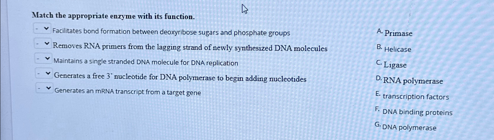 Solved Match the appropriate enzyme with its | Chegg.com